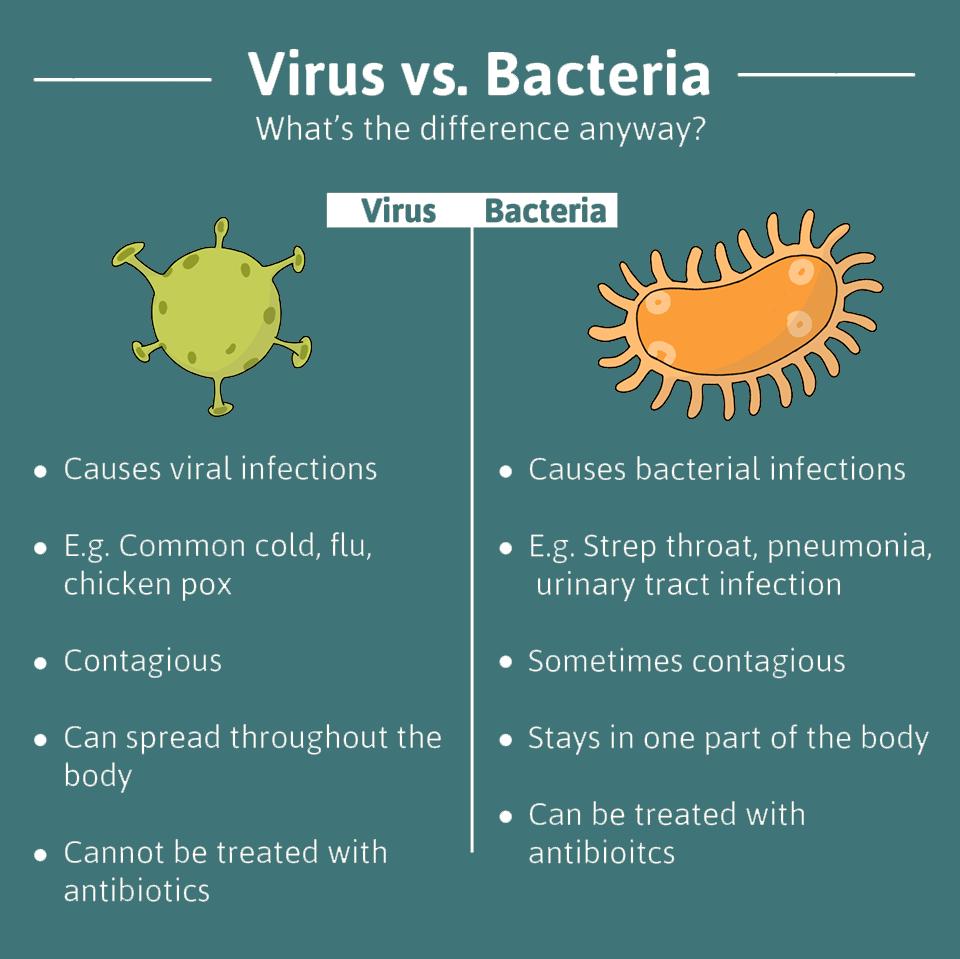 Differences Between Viral And Bacterial Throat Infections