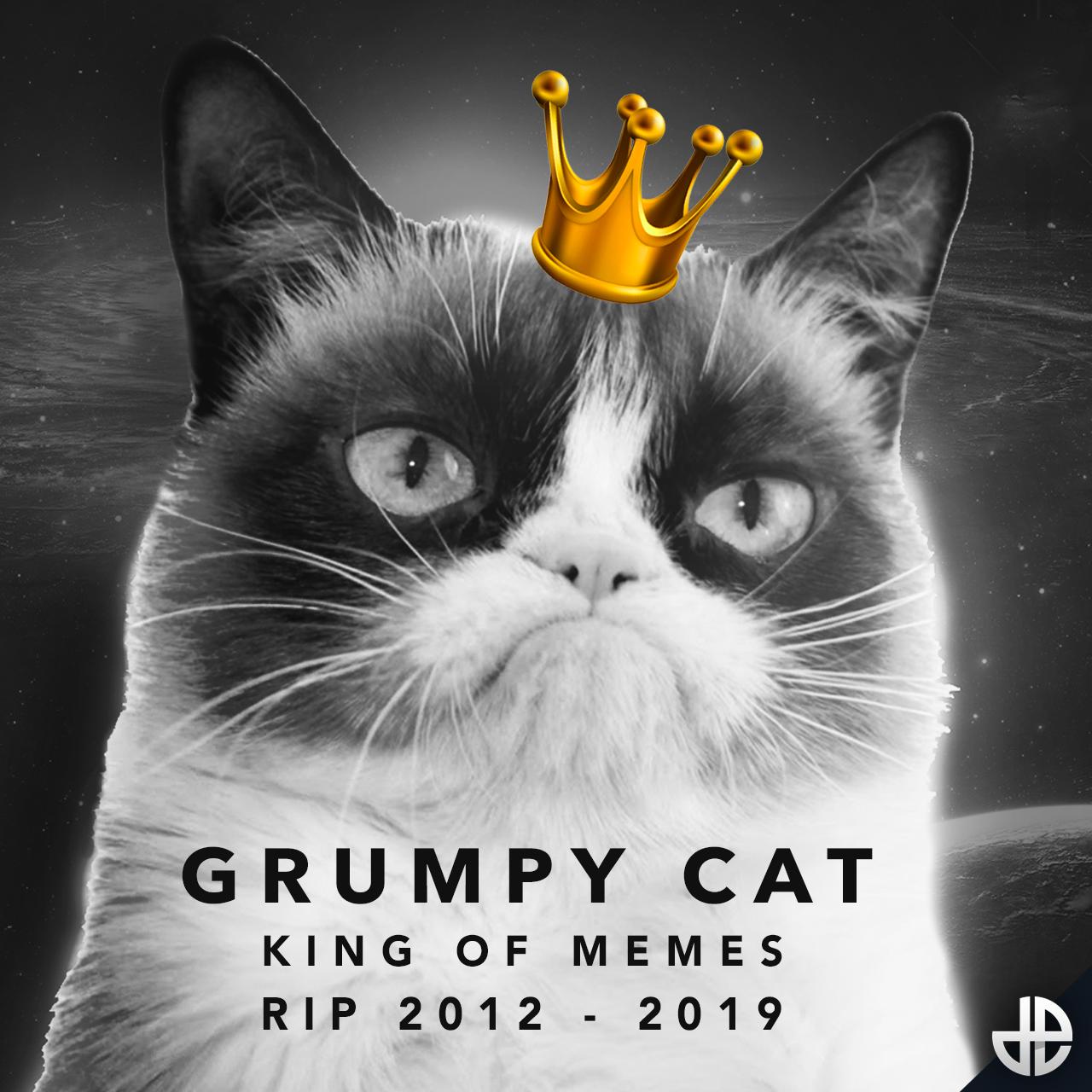 DEXERTO.COM on Twitter: "RIP Grumpy Cat 😿…