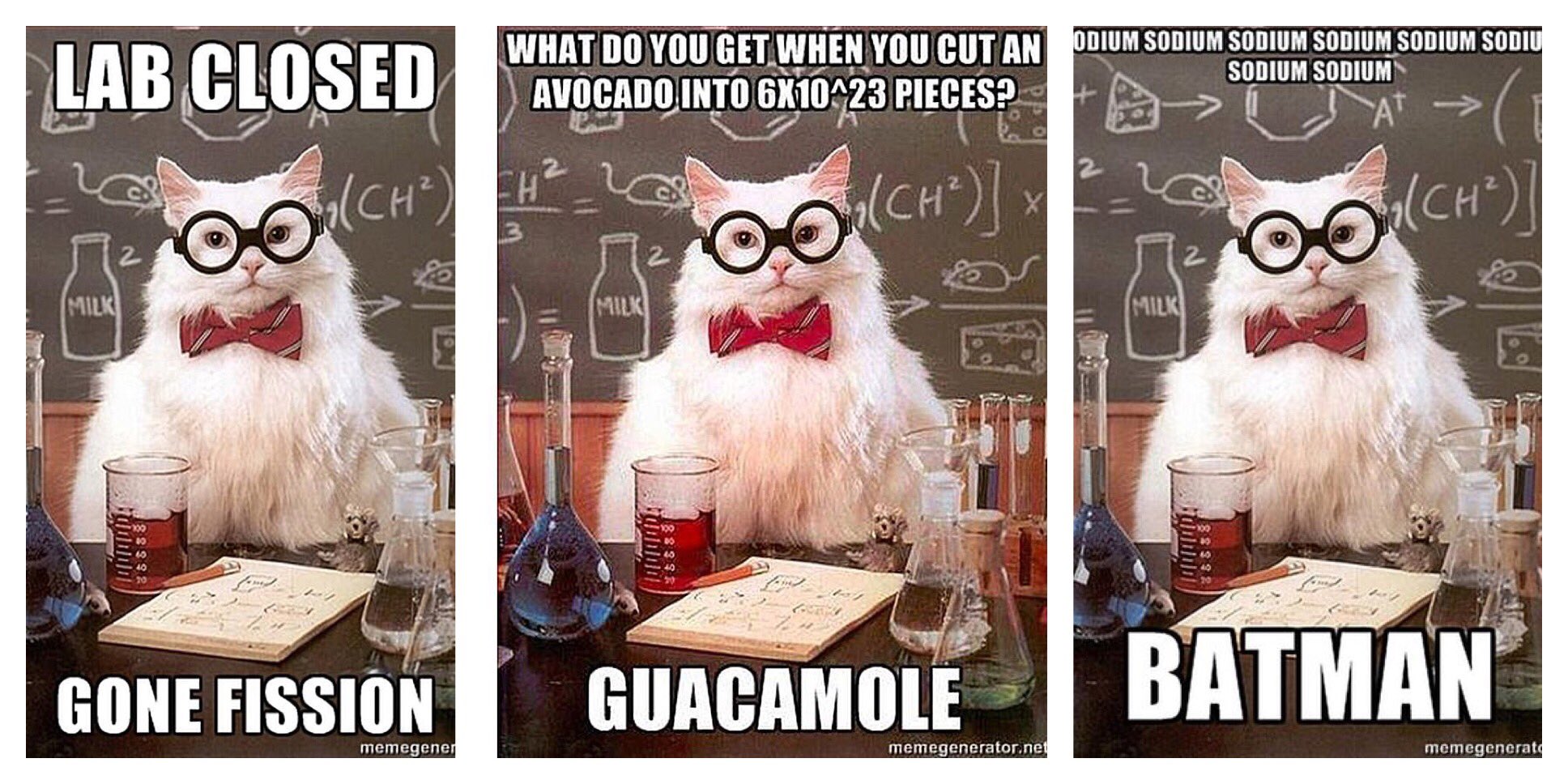Science Cat Memes
