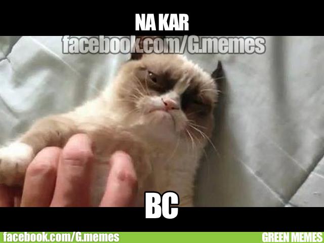 Manhoos Billi Memes