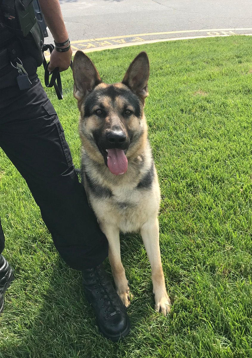 Staffordcosheriff On Twitter Meet Gunner—the Newest Member Of The
