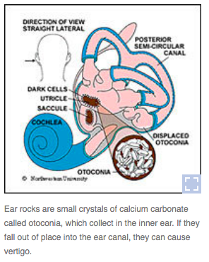 In Your Ear Crystals Symptoms