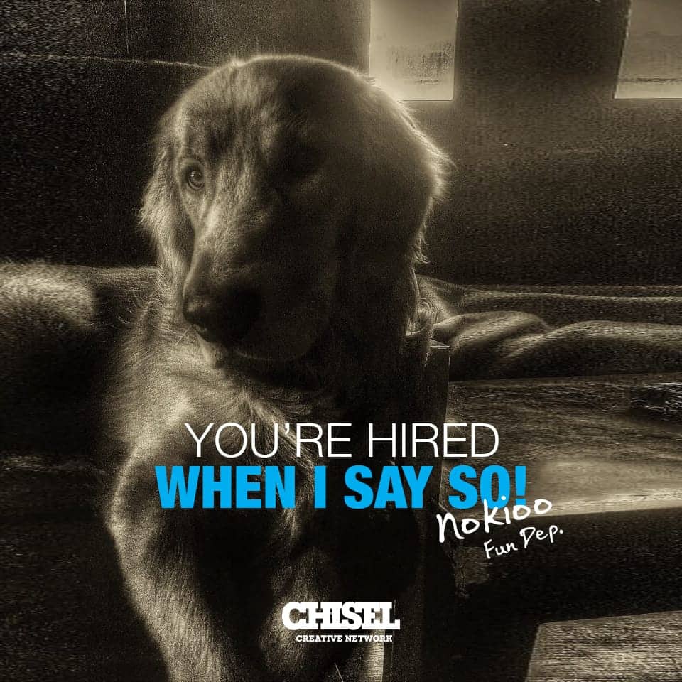 Chisel Creative Network (@ChiselNetwork) | Twitter