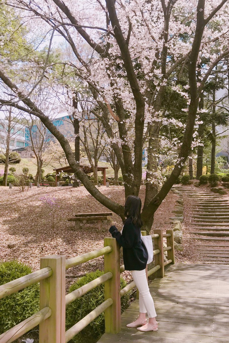 Jinhee Park (@Jinhee__me) | Twitter