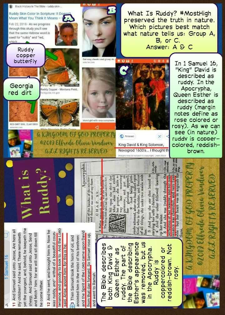 Ruddy In The Bible
