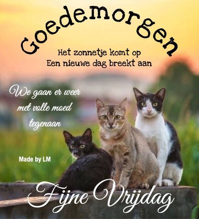 Goedemorgen Vriend Foto's Goedemorgen Plaatjes Met Berichten (Pagina