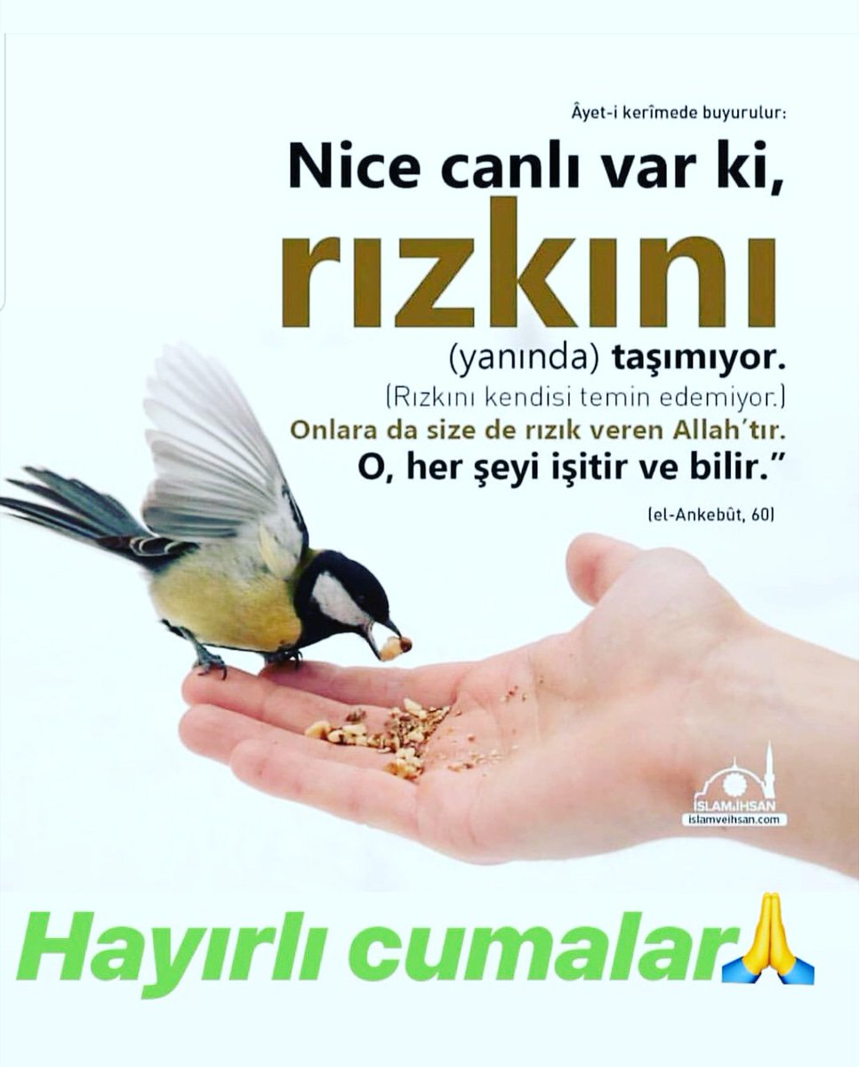 Sevim (@Sevim74170160) | Twitter