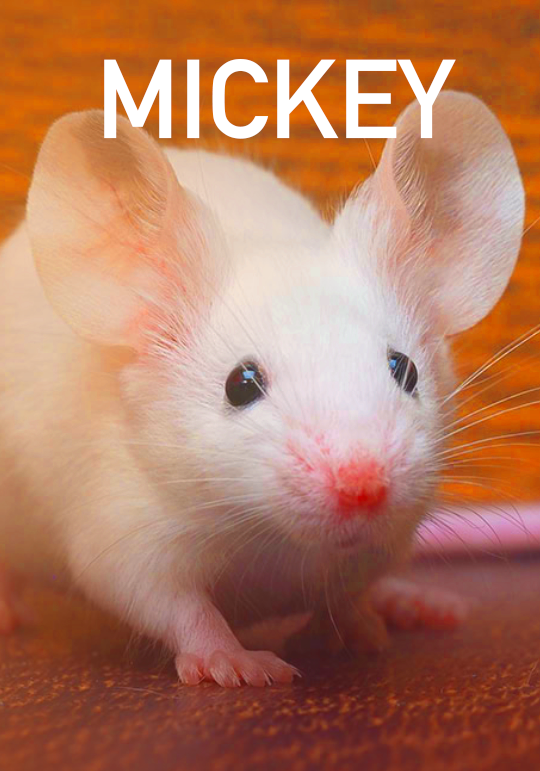 Joseph Gribbin / cohost: @josephgribbin (@JoGribbin) さんのイラスト・マンガ作品まとめ ...