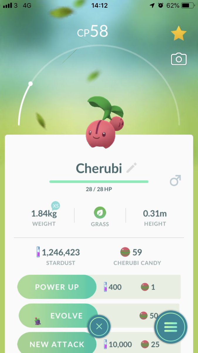 Cherubi Evolve