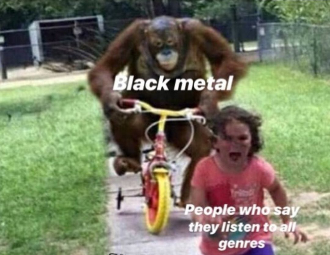 Black Metal Meme Funny