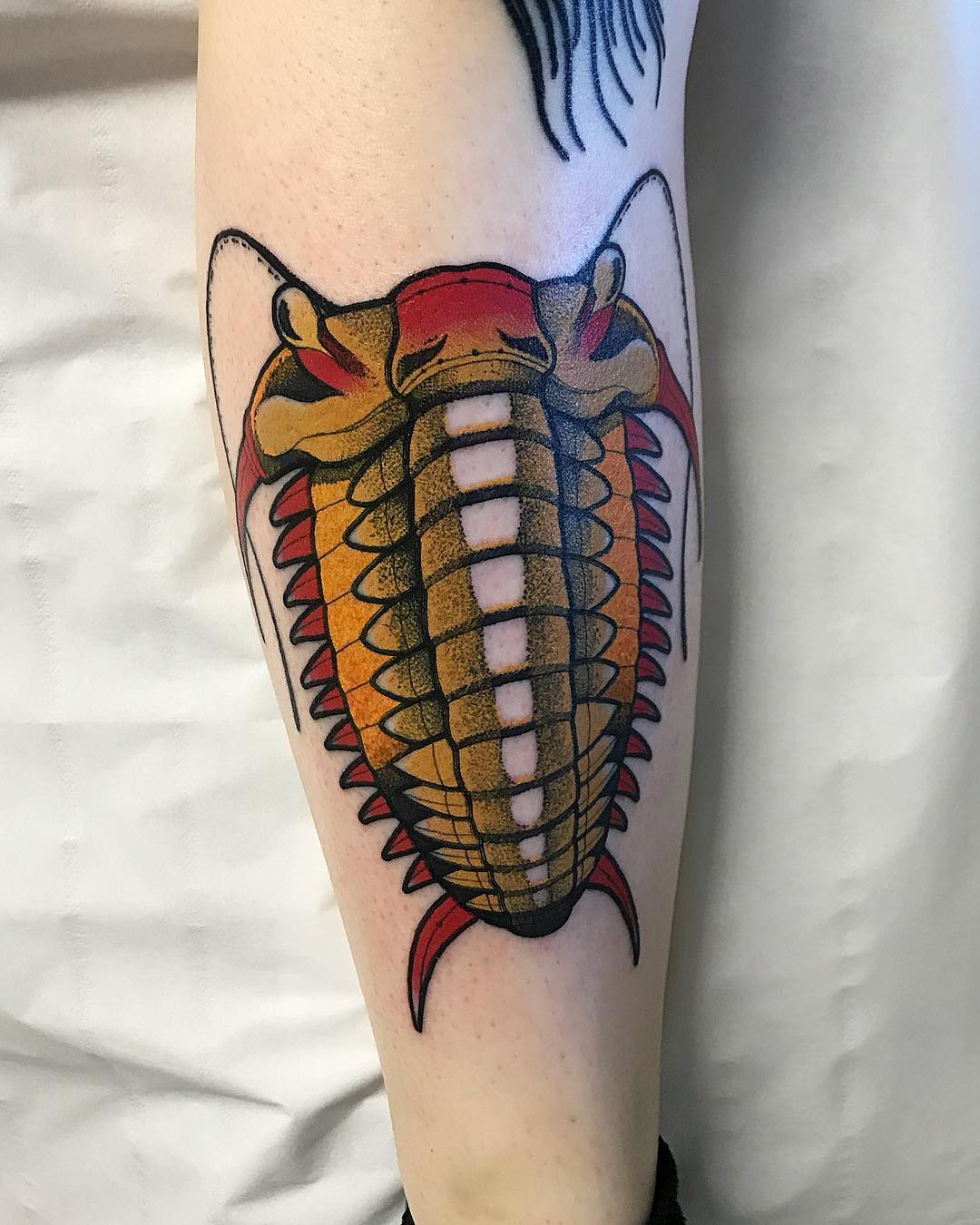 Trilobite Tattoo