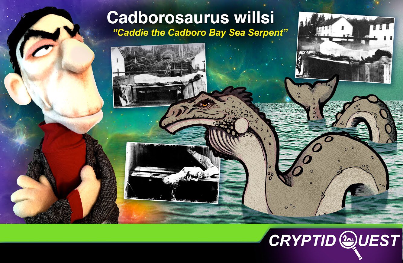 Cadborosaurus Willsi