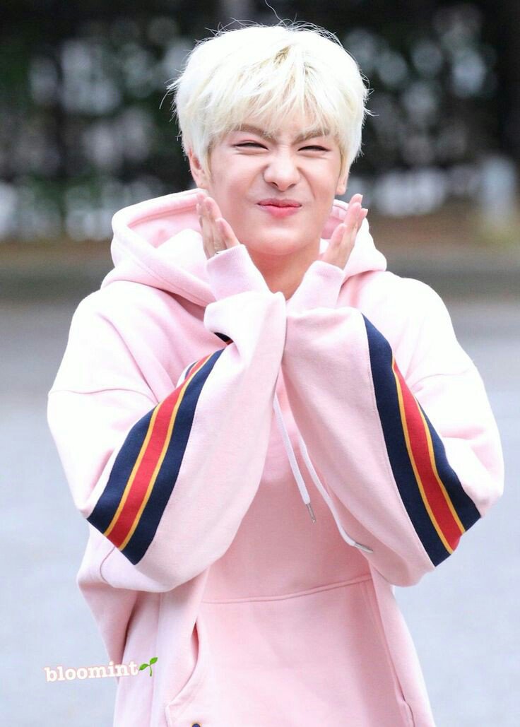 LUCENTE Brasil (@lucente_brasil) | Twitter