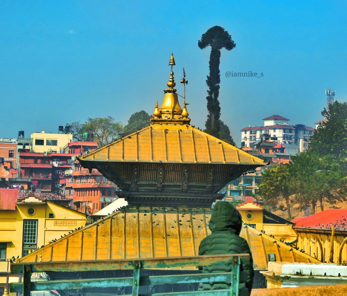 Nik S Tamang (@iamnike_s) | Twitter