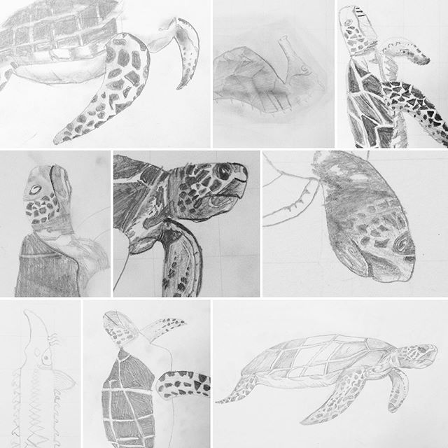 Ridley Beautiful Creatures Drawing