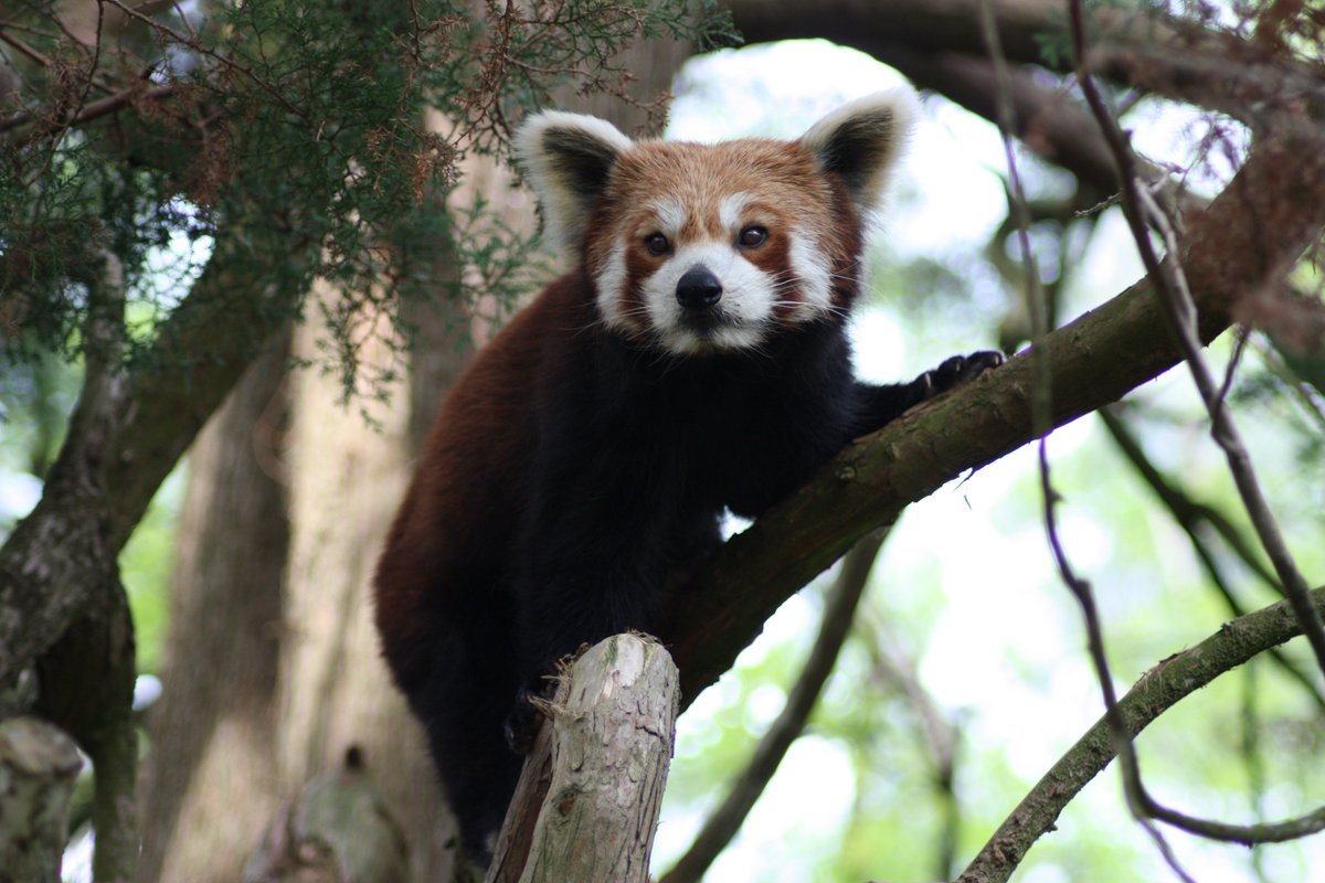 Caroline Abbott (@carolineabbott) | Twitter