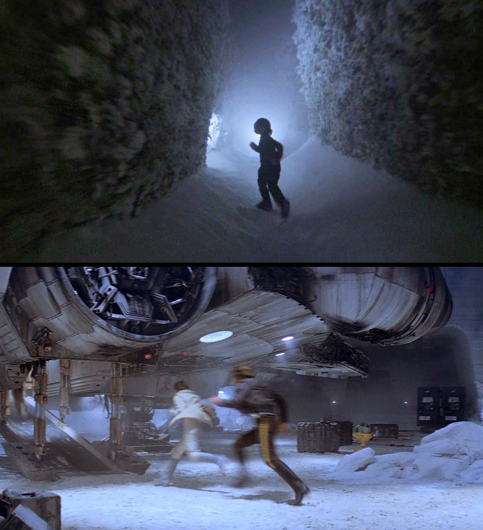 The Shining Snow Maze