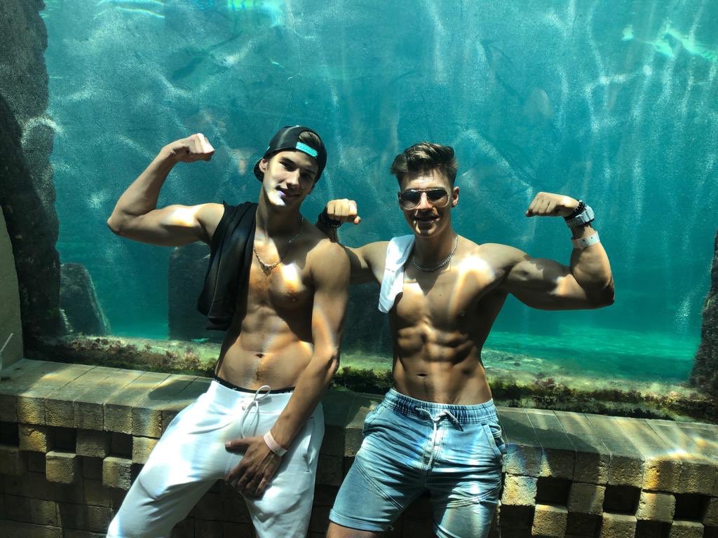 Tom Houston @Tom_Houston_ Timeline, The Visualized Twitter (Analytics)