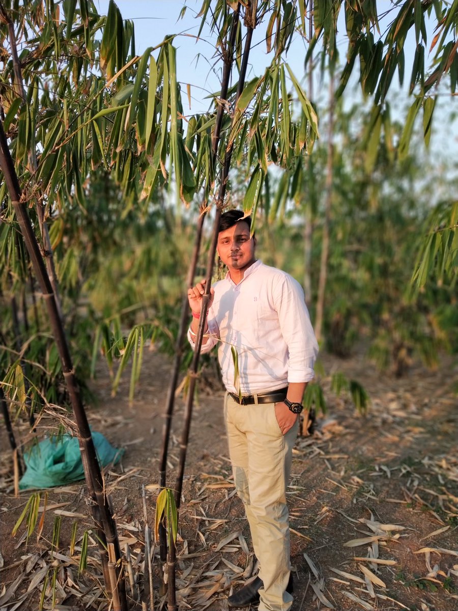 Bivas Debnath (@Bivas96) | Twitter