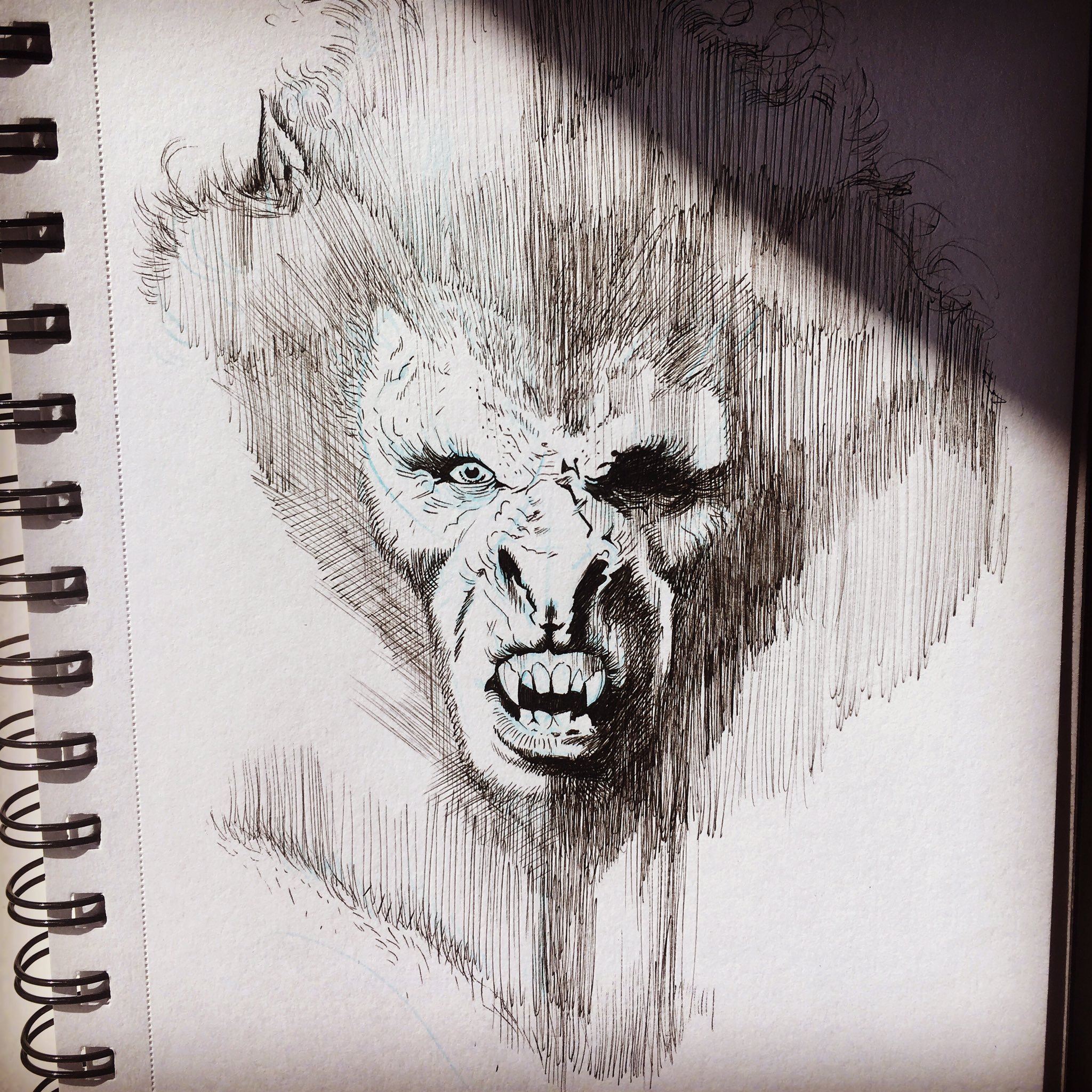 Gary Oldman Dracula Wolf