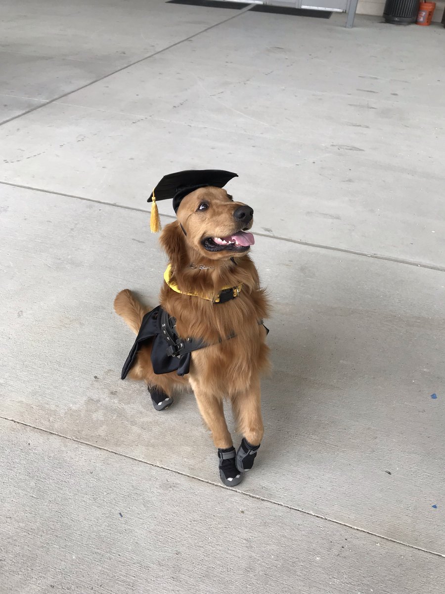 Erica Haschert and her service dog Chief graduate together today at ...