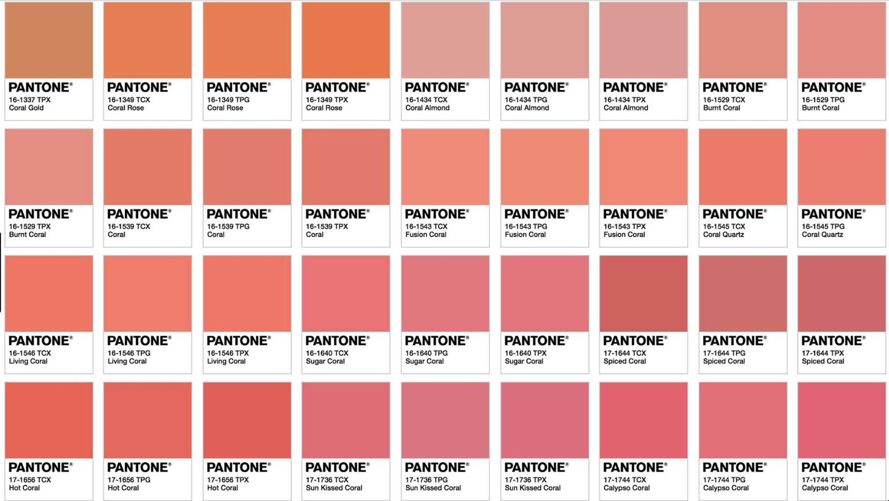 Neon Coral Pantone