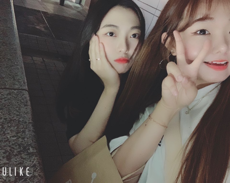 Haeri Choi (@harry_gbt19) | Twitter