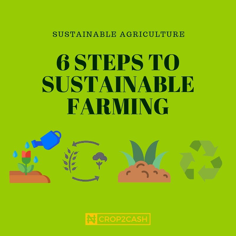 Sustainable Agriculture Poster