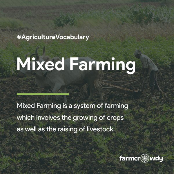 Mixed Farming