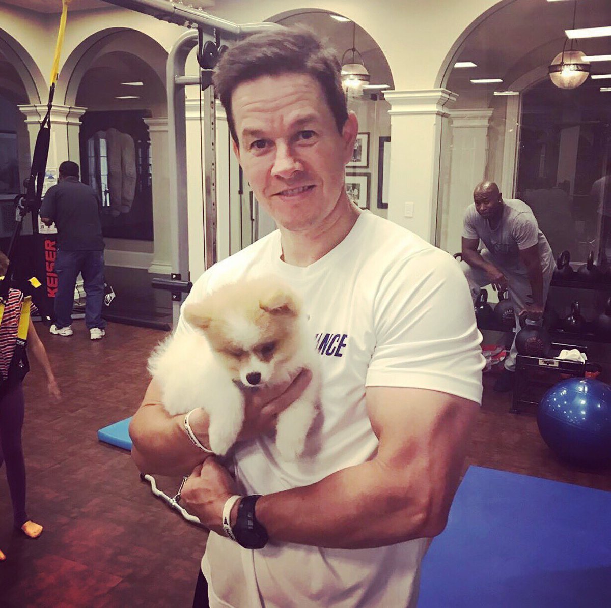 Mark Wahlberg Dog