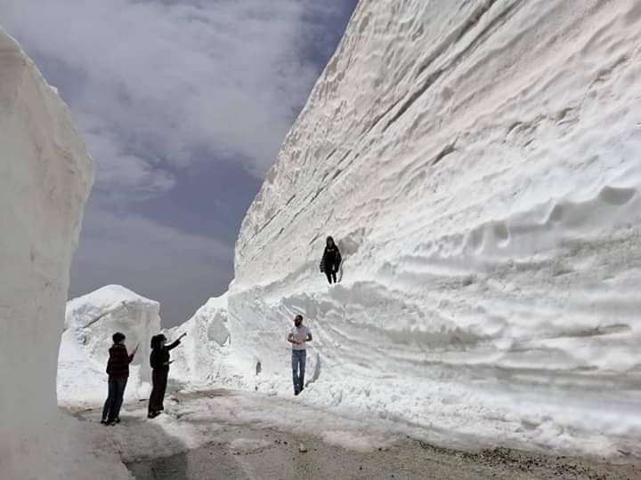 Antonio Awad (@awad_antonio) | Twitter