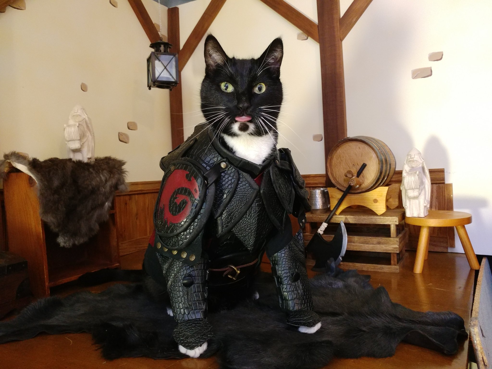 Dragon Cat Costume