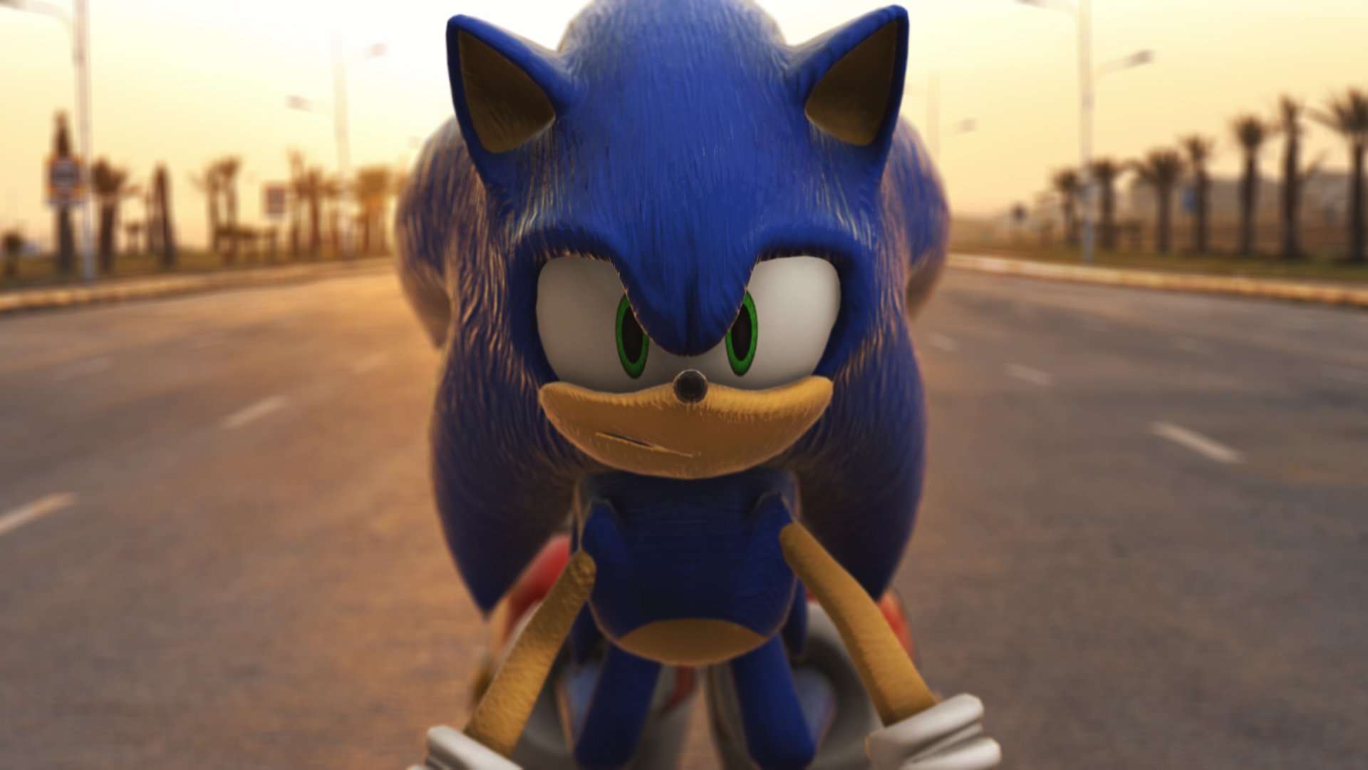 Sonic The Hedgehog In Real Life