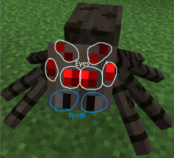 Minecraft Spider Eye