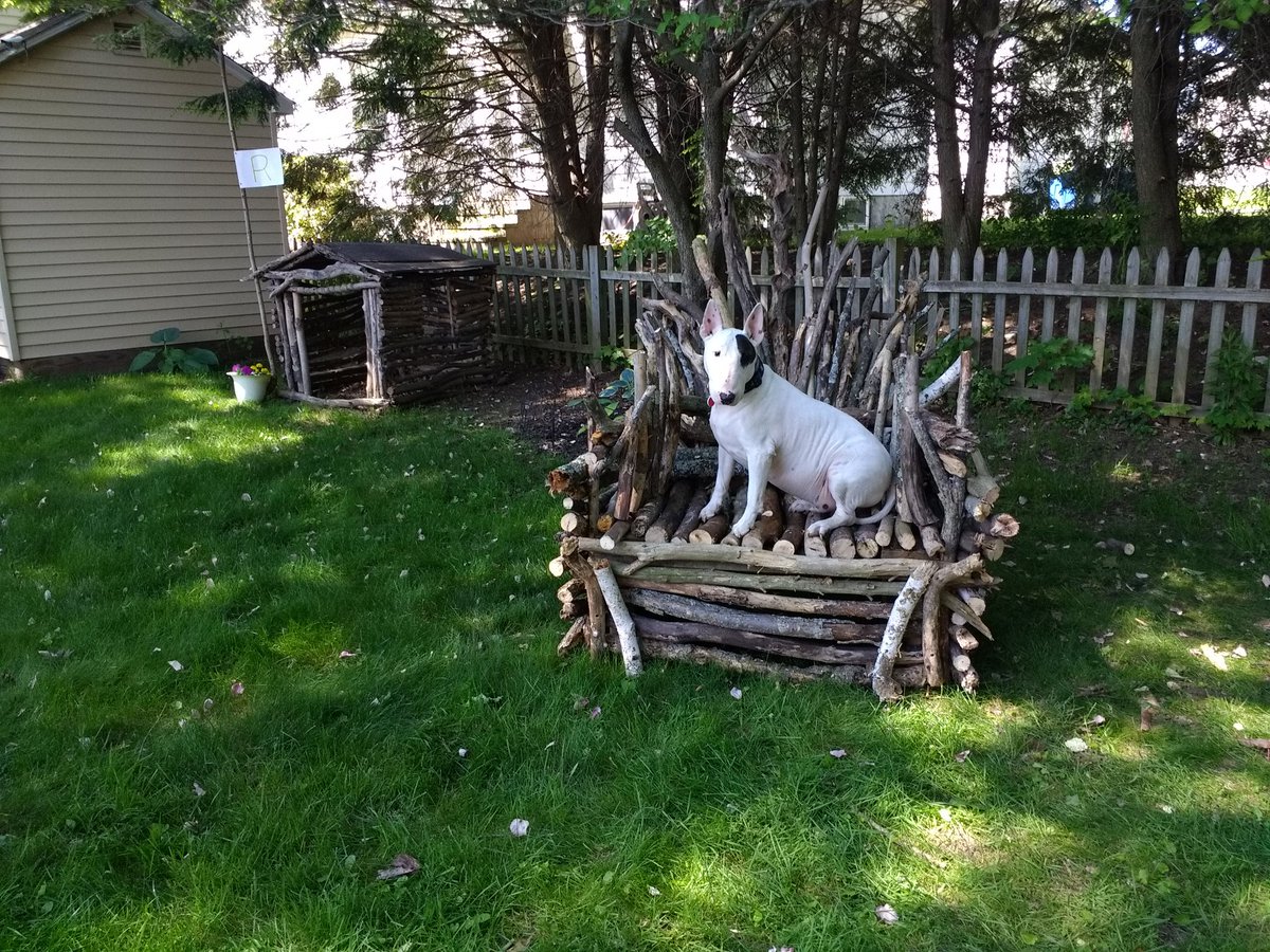 Holly Koiro (@mindboggle) | Twitter