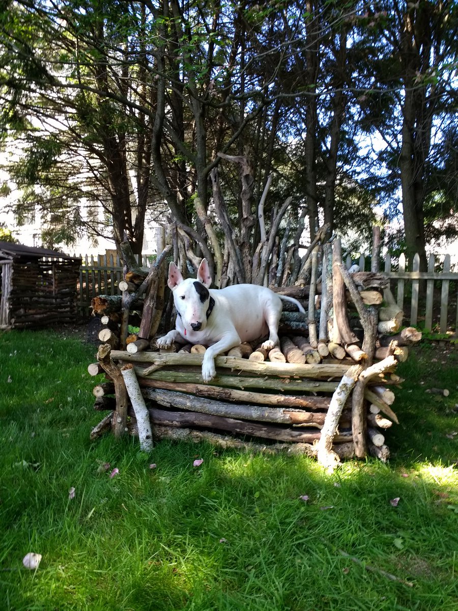 Holly Koiro (@mindboggle) | Twitter