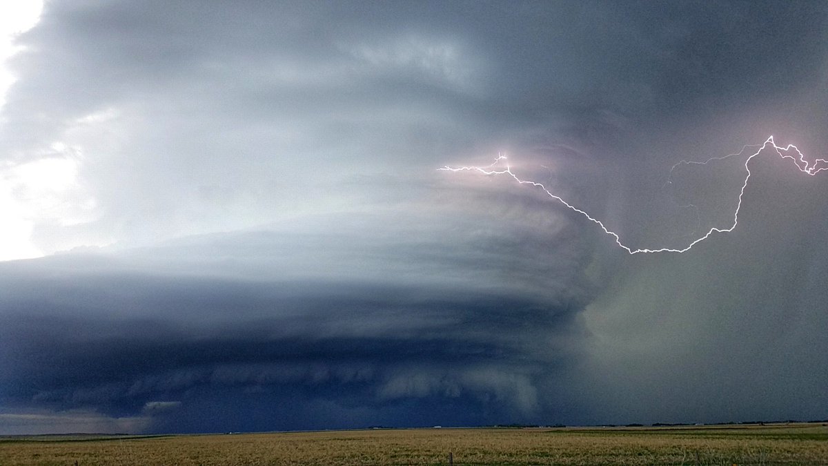Wild weather photos