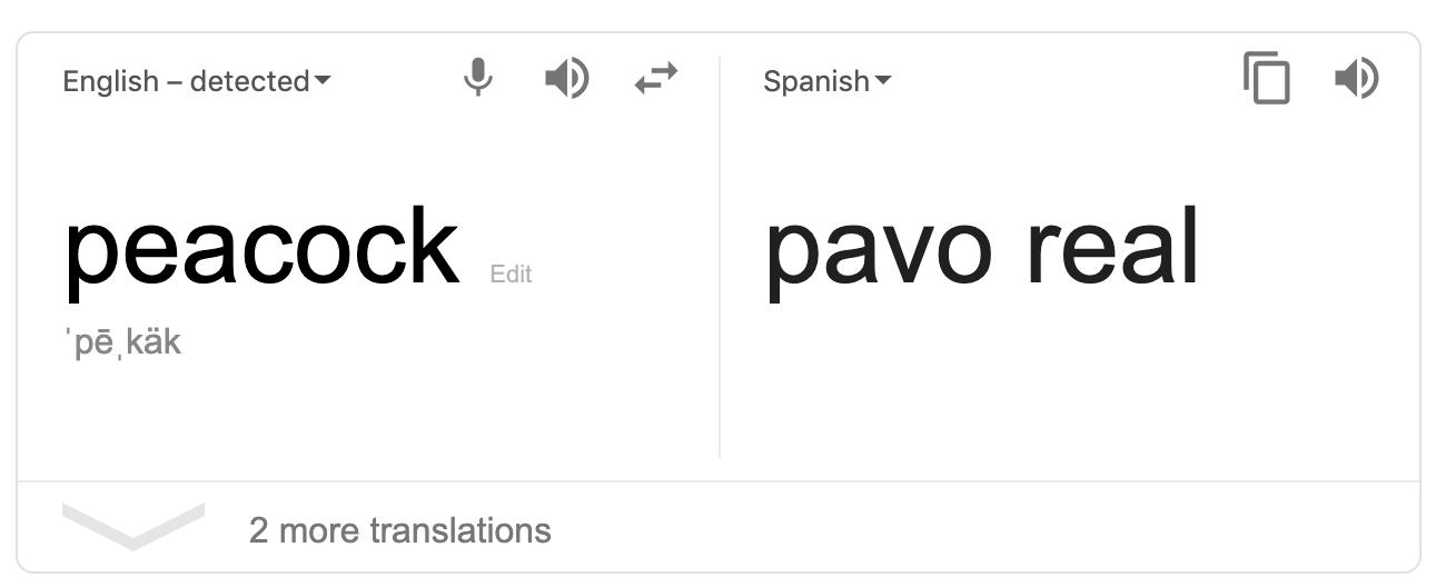 Paboreal Translate English