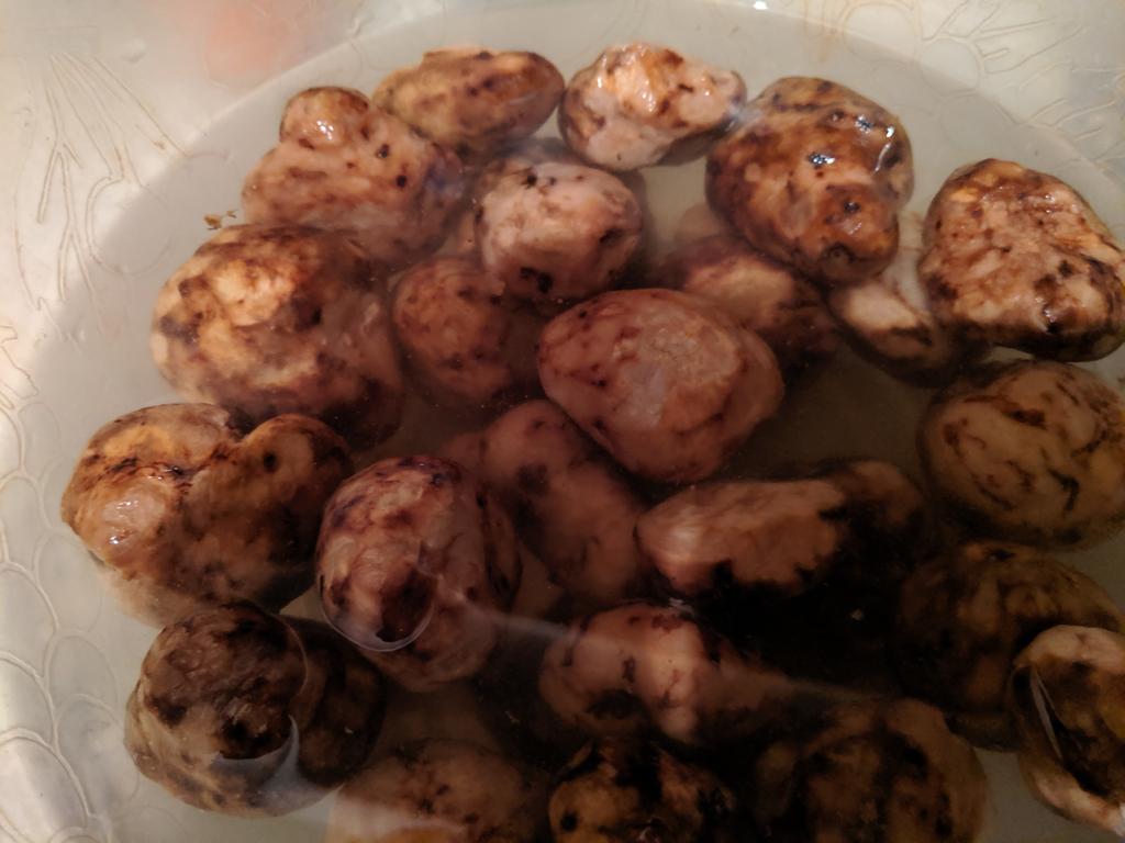 A Thread from @KarlreMarks: "I got my hands on some lovely Syrian ...