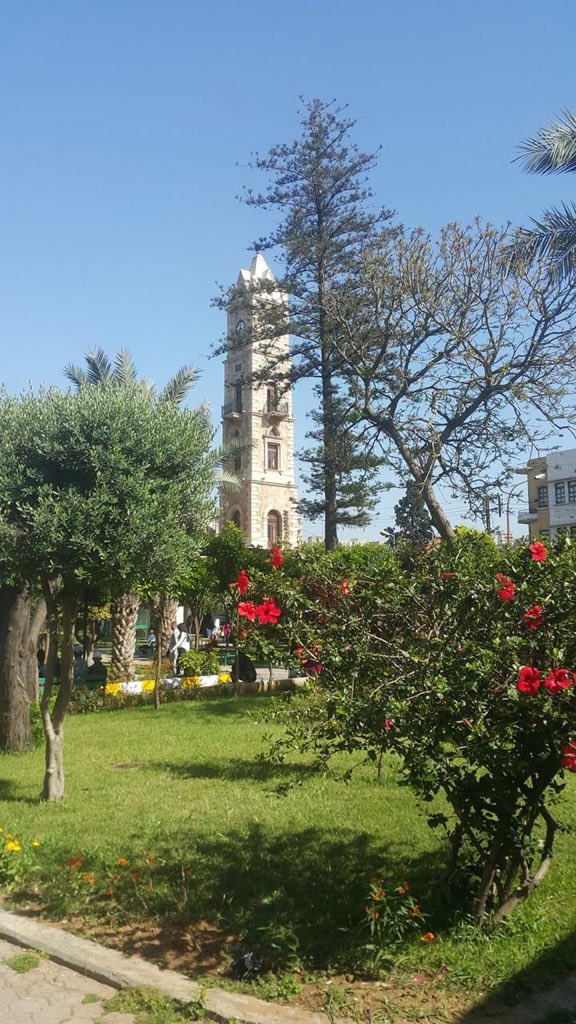 Antonio Awad (@awad_antonio) | Twitter