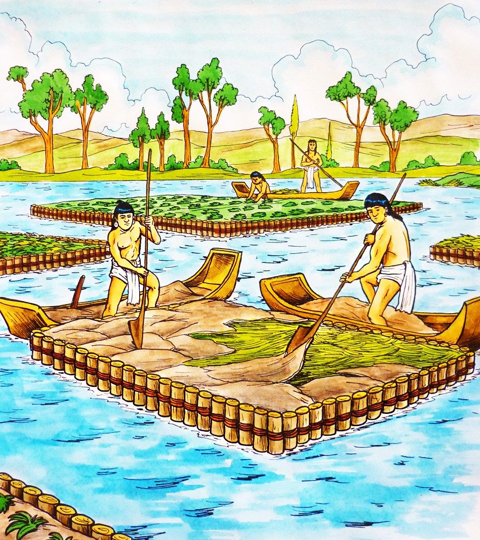Agricultura Azteca
