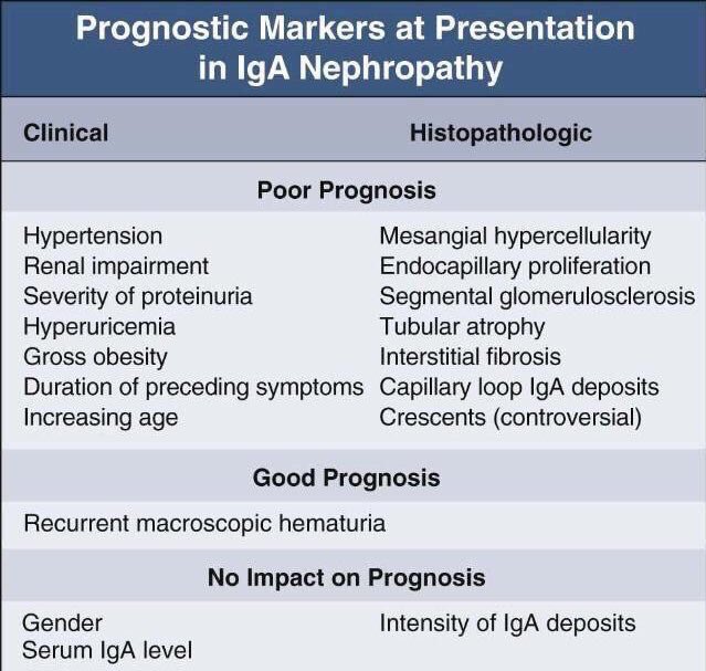Edgar V. Lerma 🇵🇭 on Twitter: "IgA Nephropathy: Risk Factors for Progression #Nephpearls #NephJC ...