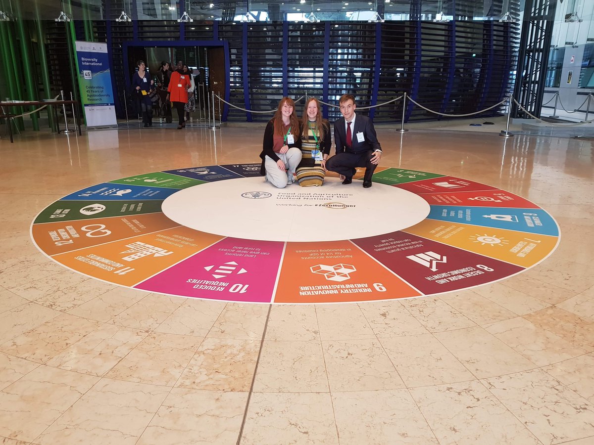 SIOI - Società Italiana per l'Organizzazione Internazionale