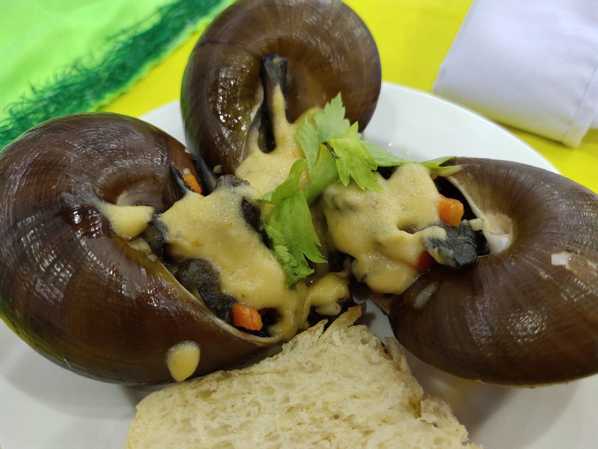 LOOK: In Virac, Catanduanes, different twists of Karakol (volute shell ...