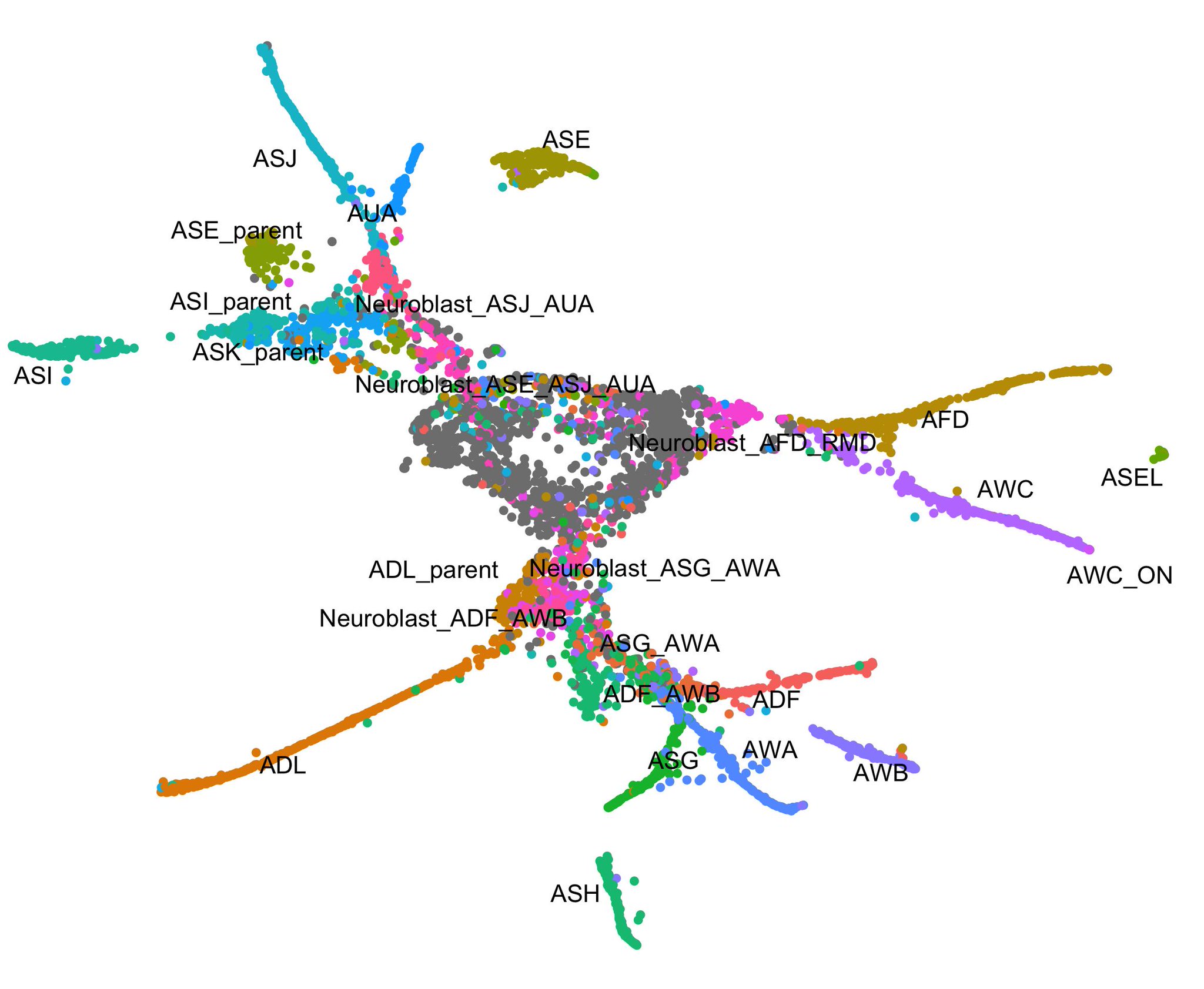 Cole Trapnell on Twitter: "A much simpler, more robust workflow for clustering and trajectory ...