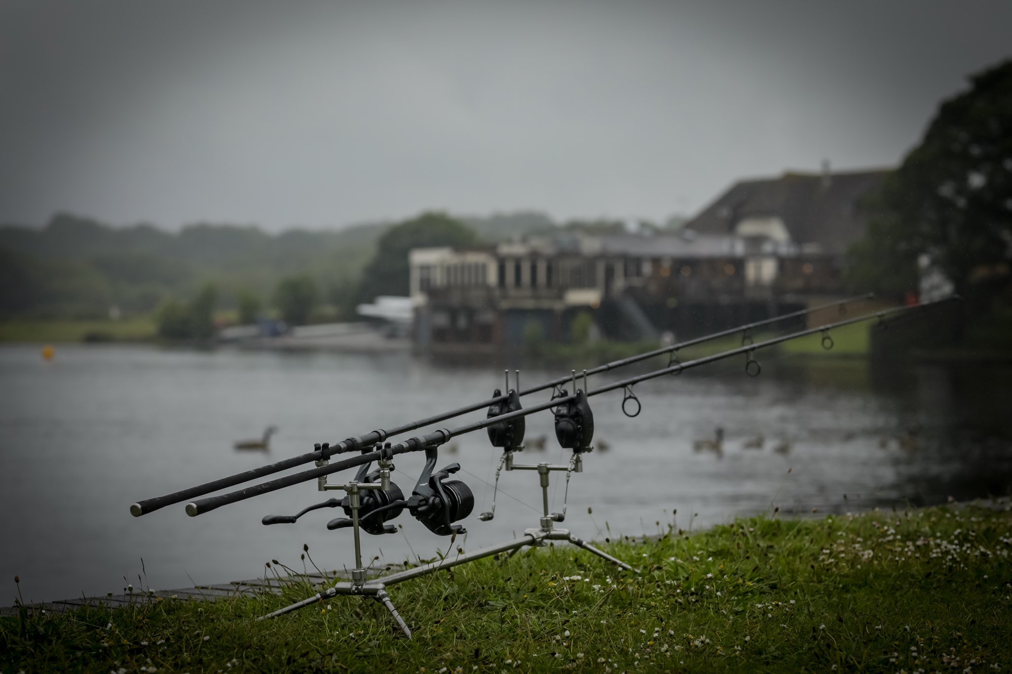 Shimano Fishing Wallpaper