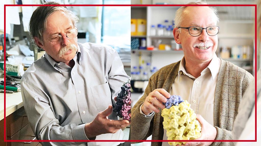 Dr Paul Janssen Award: The 2019 Dr. Paul Janssen Award for Biomedical ...