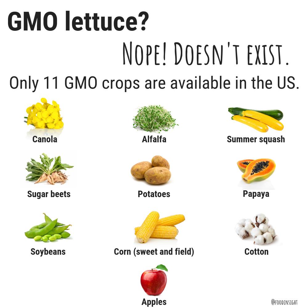 Examples Of Genetically Modified Crops