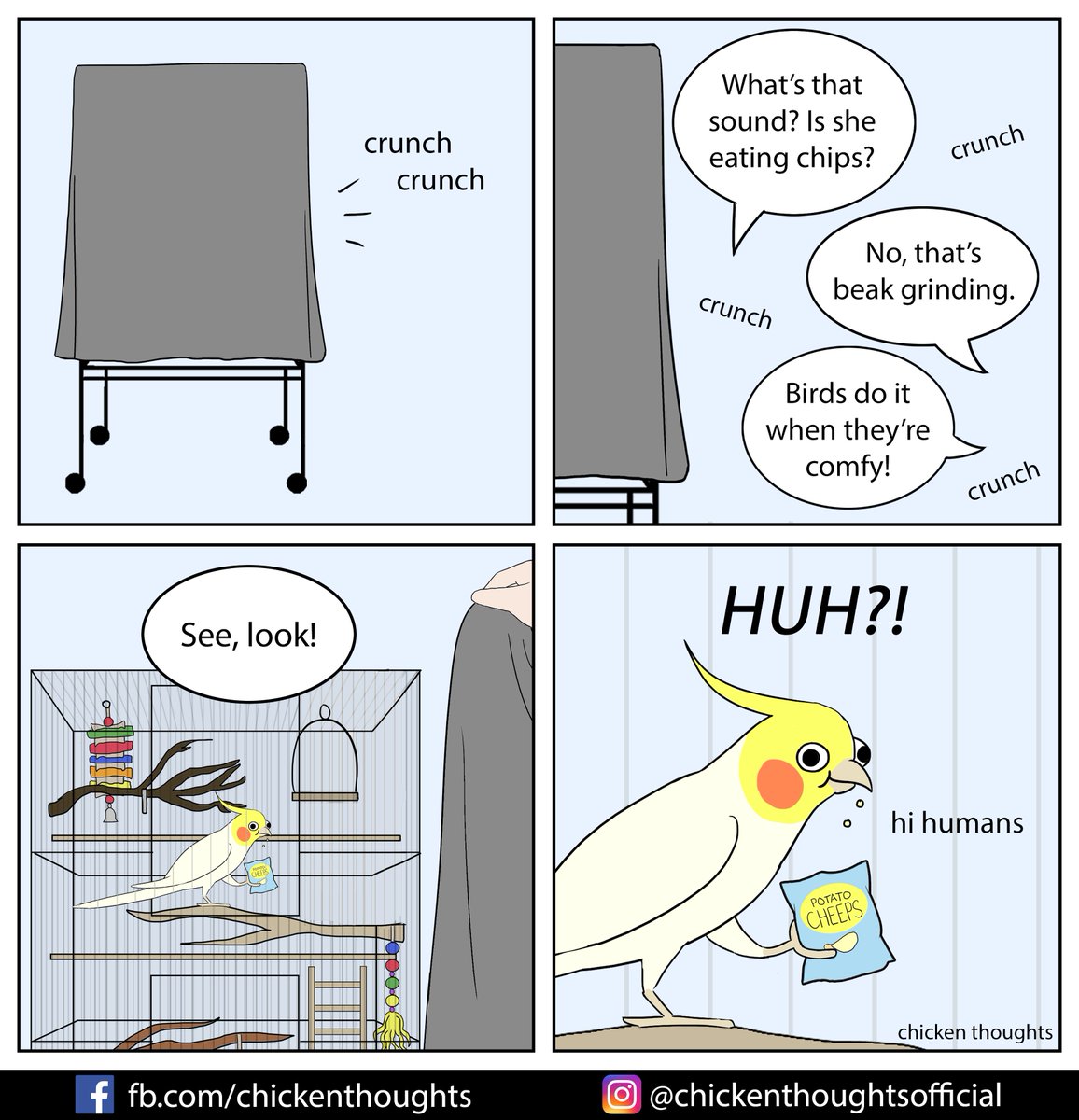 Chicken Thoughtsの漫画