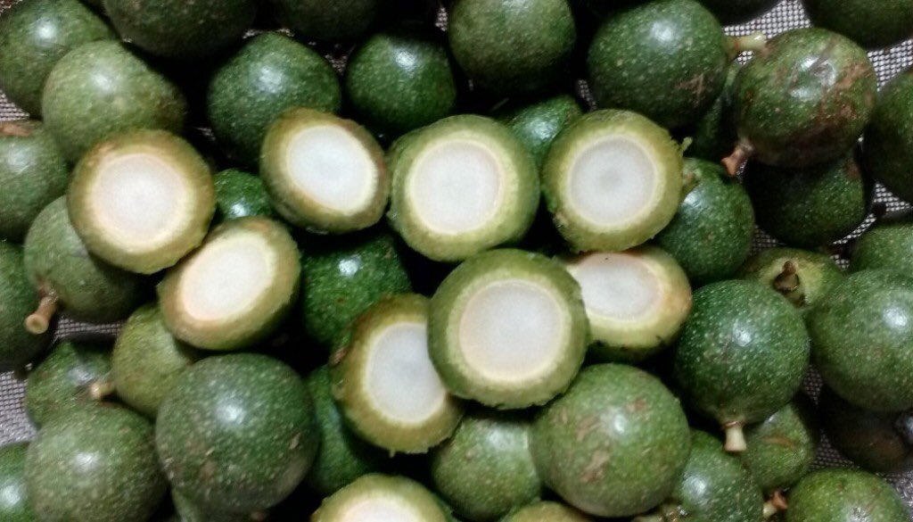 Filipino Fruit Trees